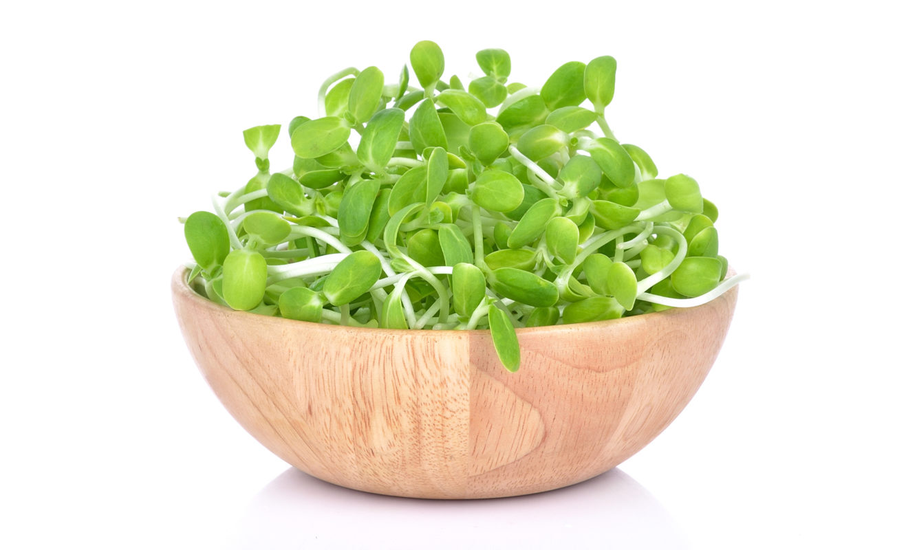 Sunflower Sprouts - Sweetgrass Trading Co
